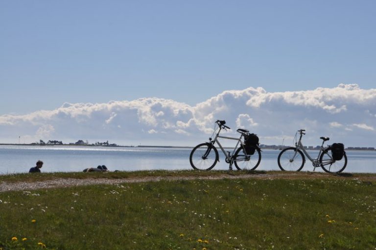 Rasten - "Verreimt - Die Gedichte von Anne Reimerdes"